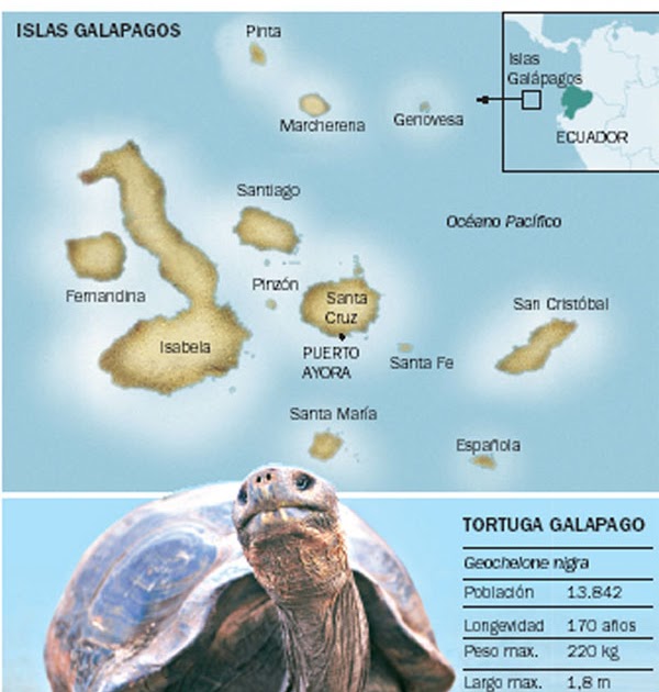 TURISMO EN GALAPAGOS: CARACTERÍSTICAS GENERALES